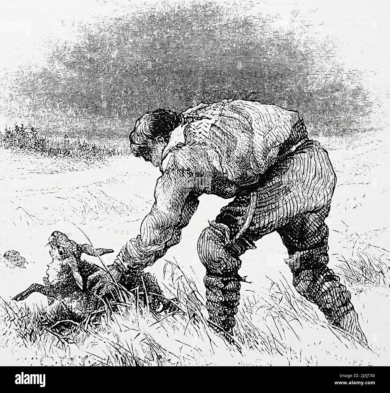Cartoon depicting a man poaching. Dated 19th Century Stock Photo - Alamy