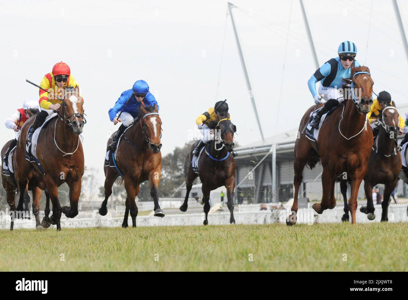 Jockey Sam Weatherly riding Sharpe Hussler to win race 5, the ATC Hong ...