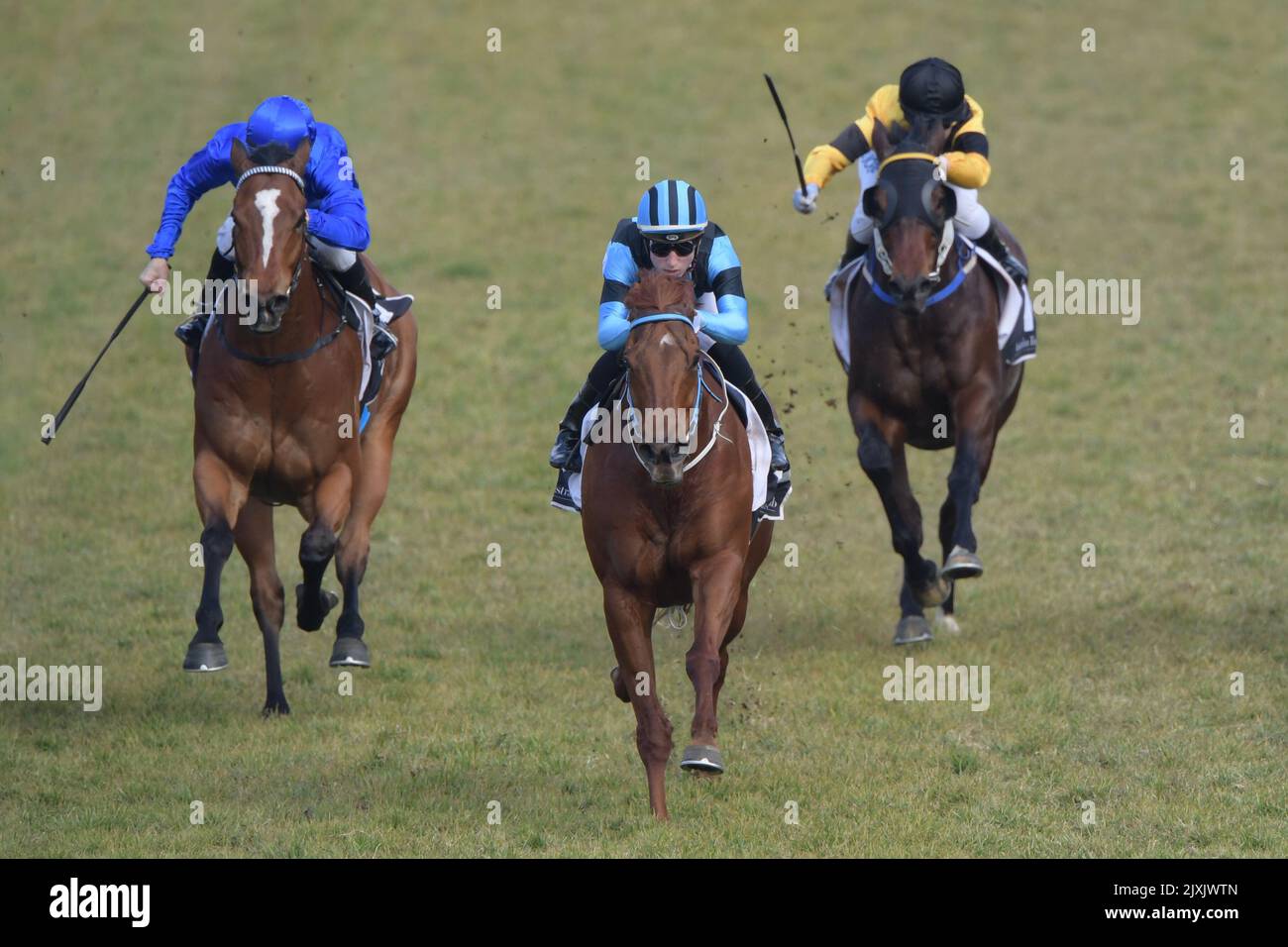 Jockey Sam Weatherly riding Sharpe Hussler to win race 5, the ATC Hong ...