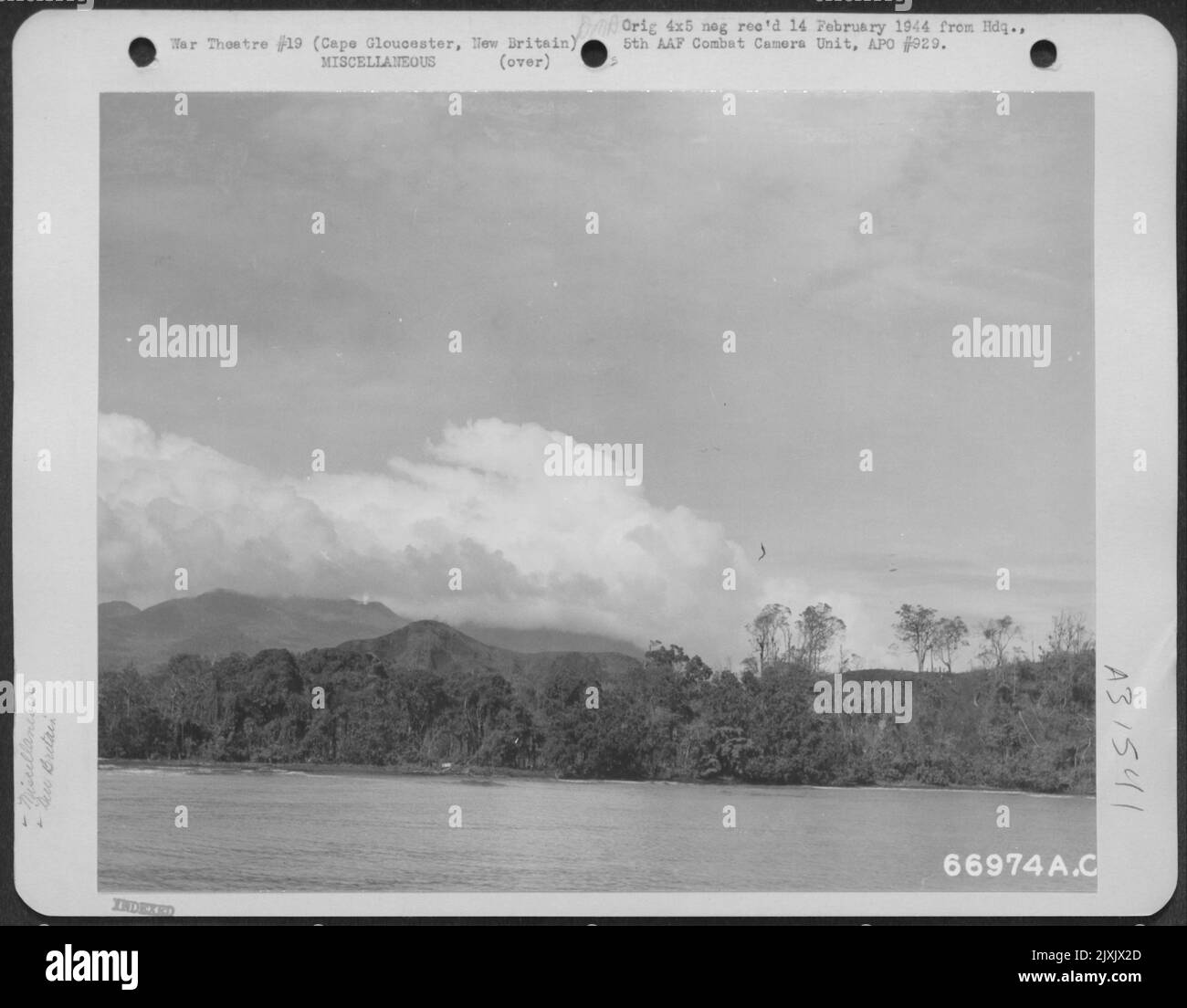 Heavy jungle growth hi-res stock photography and images - Alamy