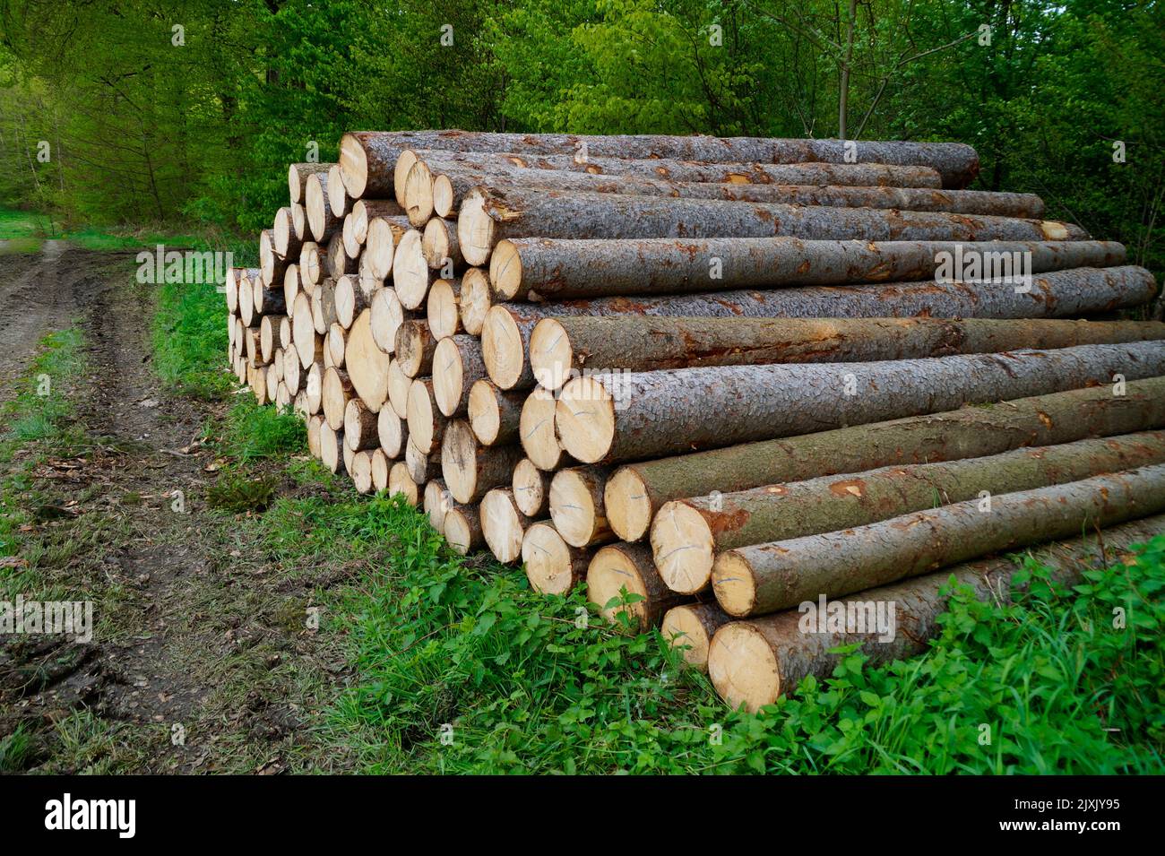 a pile of timber by the road in the Bavarian village Birkach (Bavaria ...
