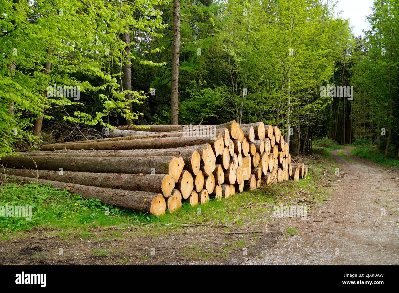 a pile of timber by the road in the Bavarian village Birkach (Bavaria ...