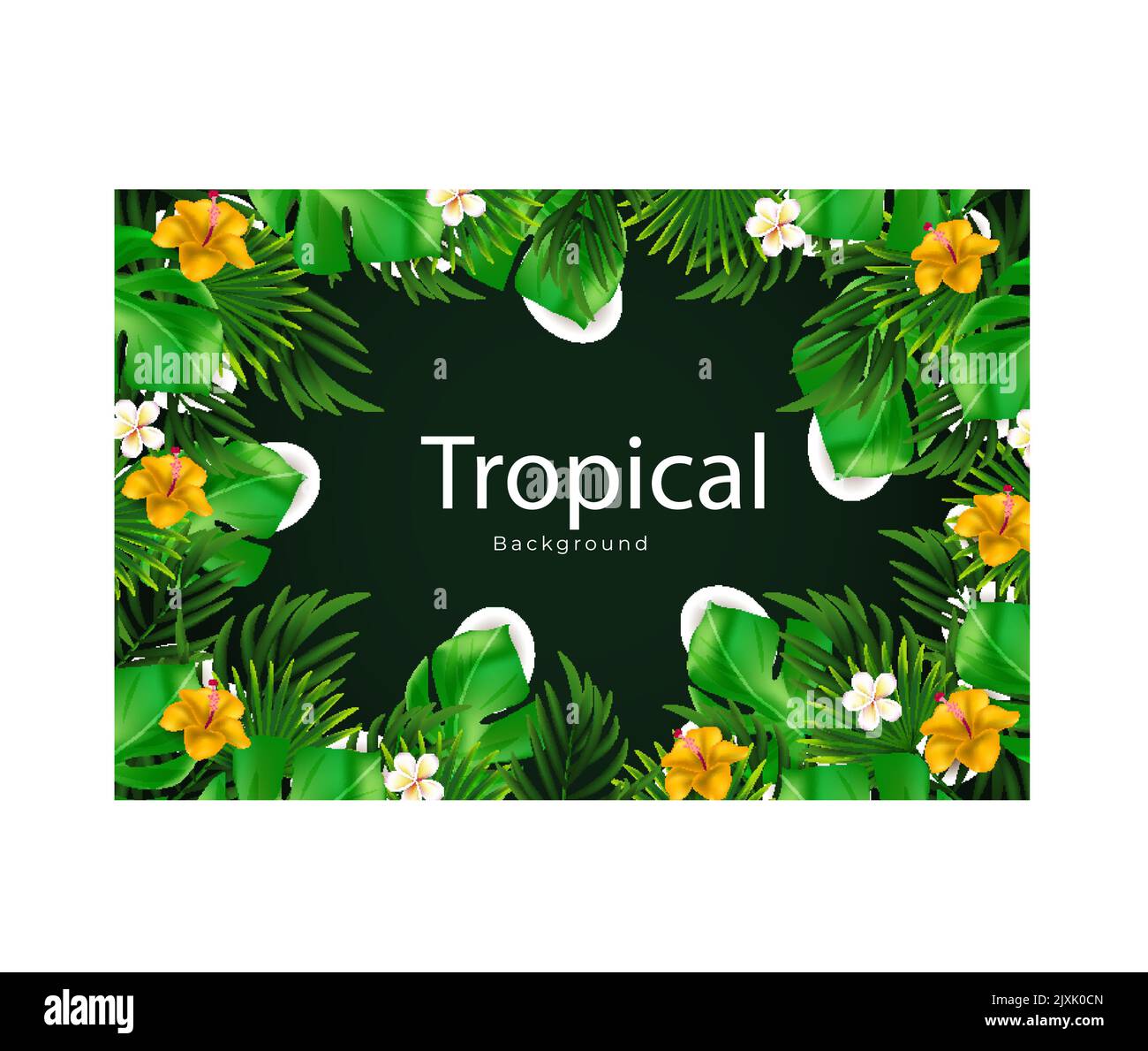 Realistic tropical background Vector illustration Stock Vector Image ...