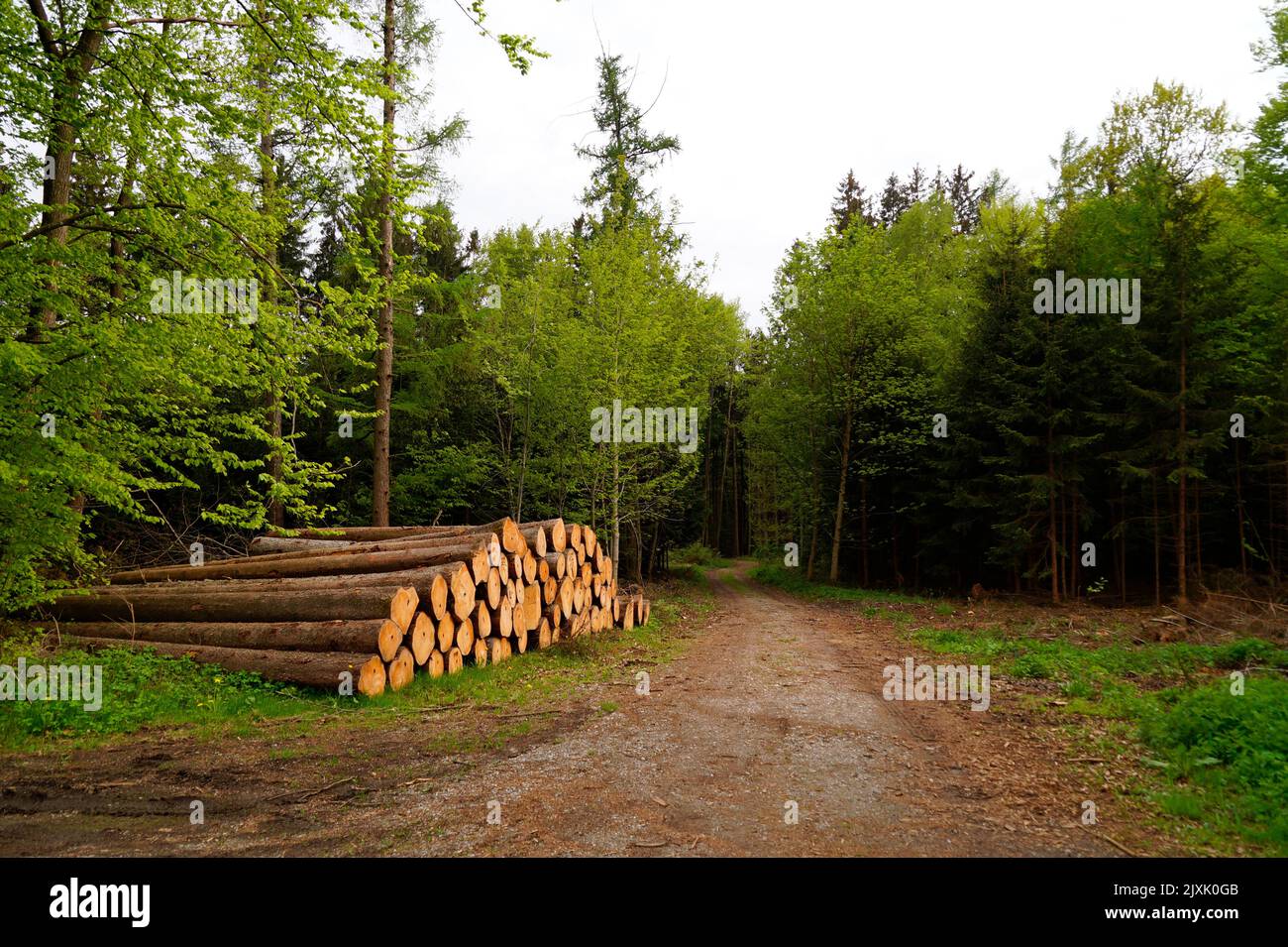 a pile of timber by the road in the Bavarian village Birkach (Bavaria ...