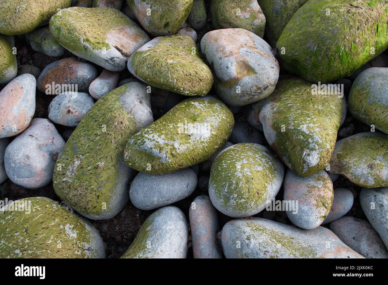 A big and small rocks covered with moss Stock Photo - Alamy