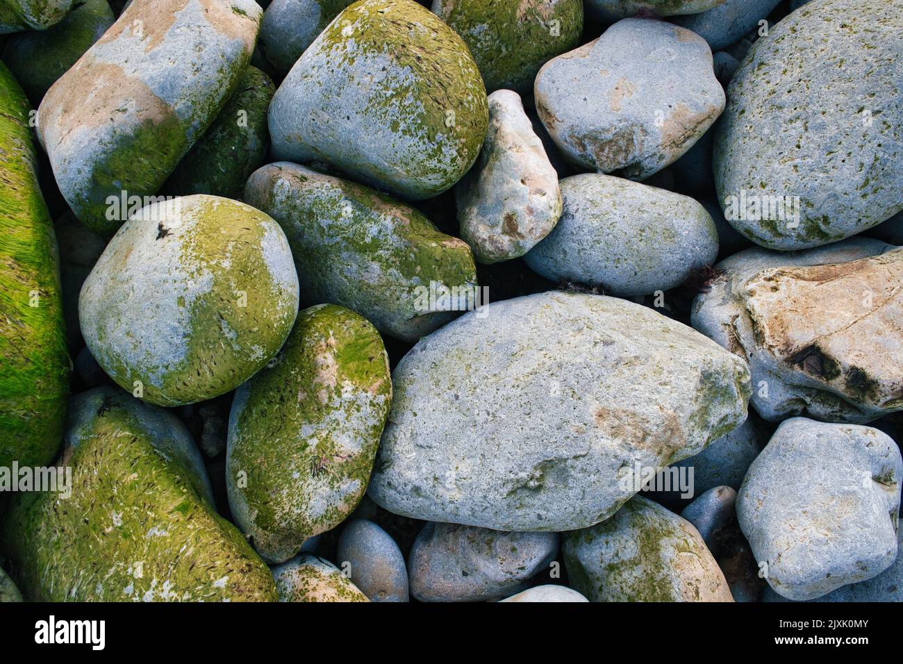 A big and small rocks covered with moss Stock Photo - Alamy