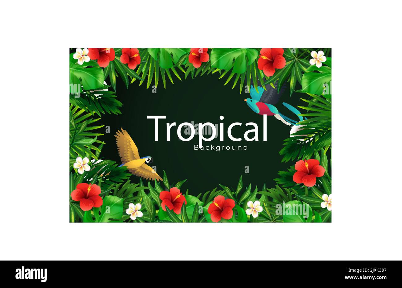 Realistic tropical background Vector illustration Stock Vector Image ...