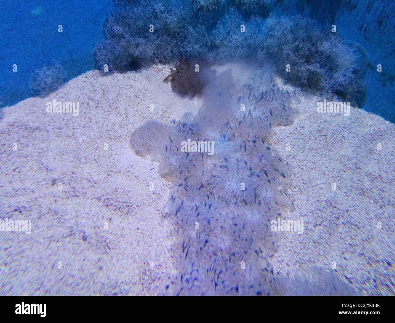 Nature's uncanny workmanship has created this magical underwater world ...