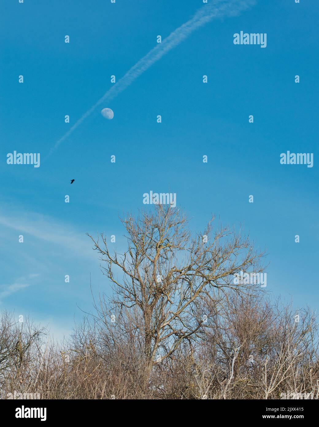 Beautiful natural photo of a real landscape Stock Photo - Alamy