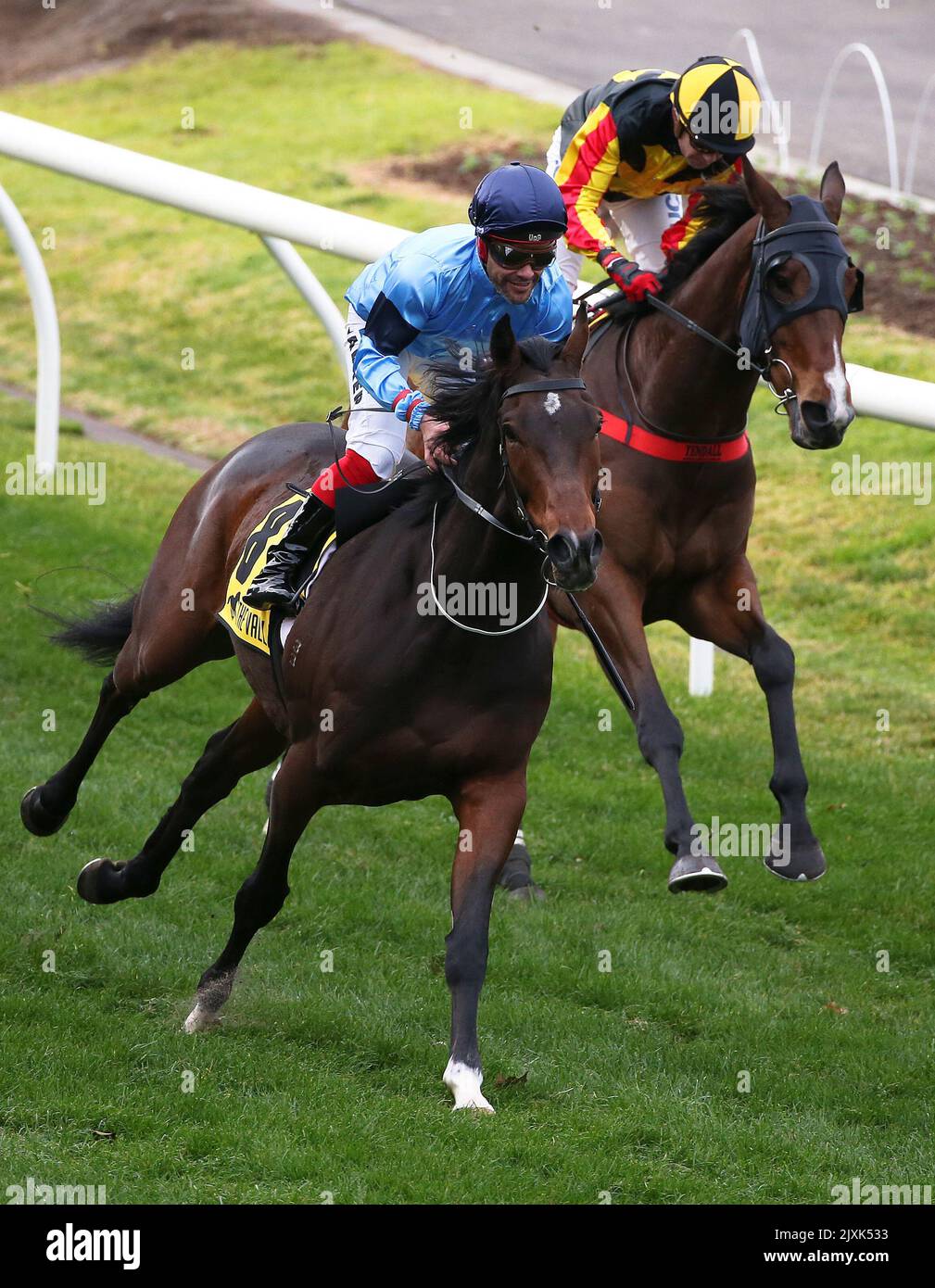 Jockey Michael Walker rides Pioneertown to win race 6, the Mortimer ...