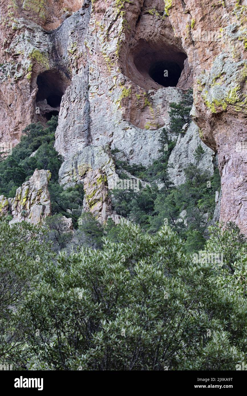 Old man of the mountain face with dark eyes and green beard in rock ...