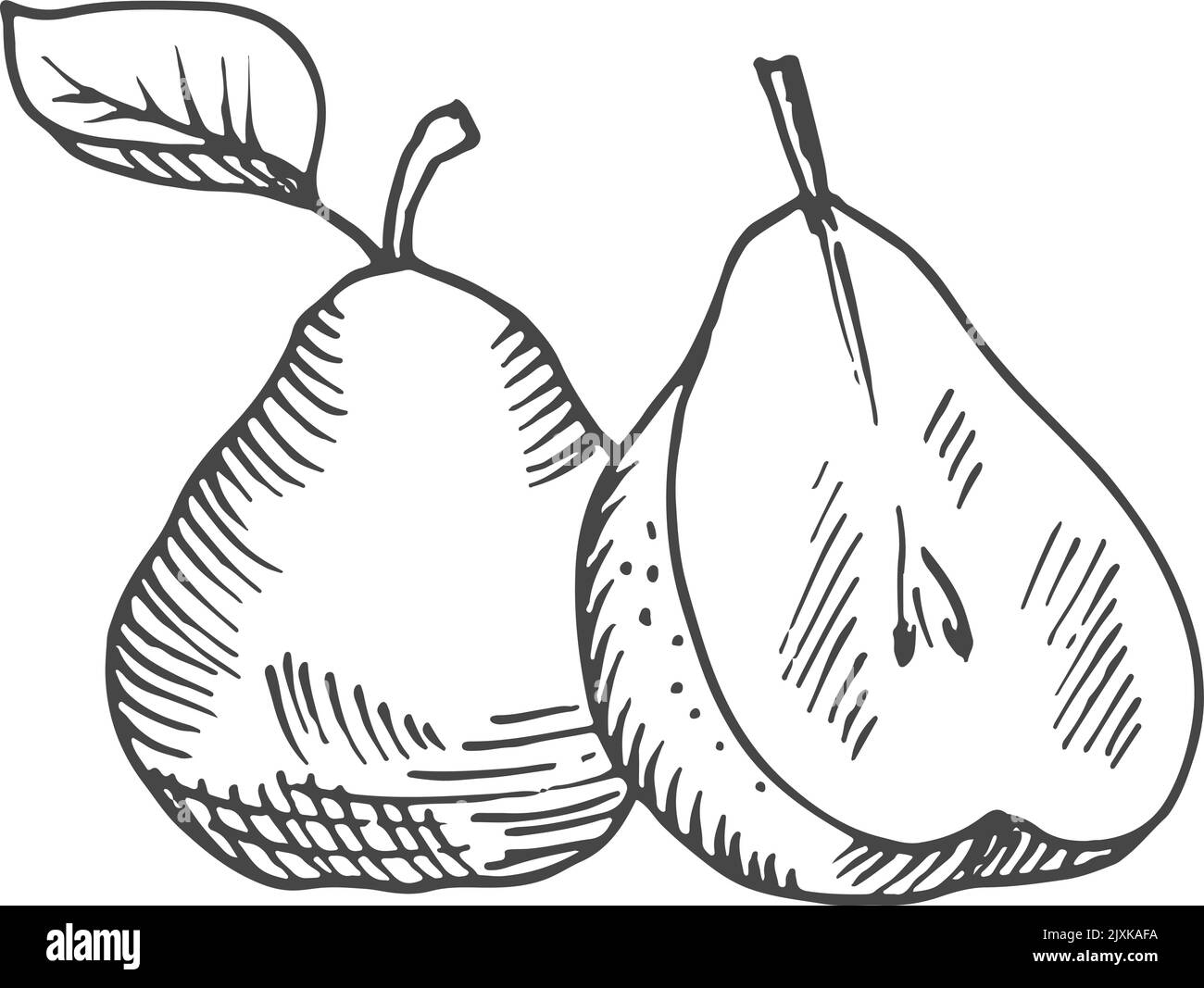 Pear Outline Clip Art