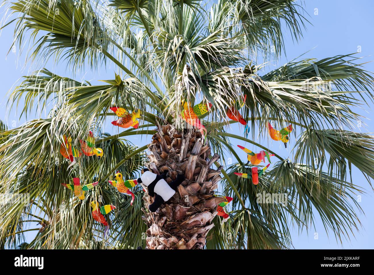 The top of the tree is decorated with toys. Soft panda toys with ...