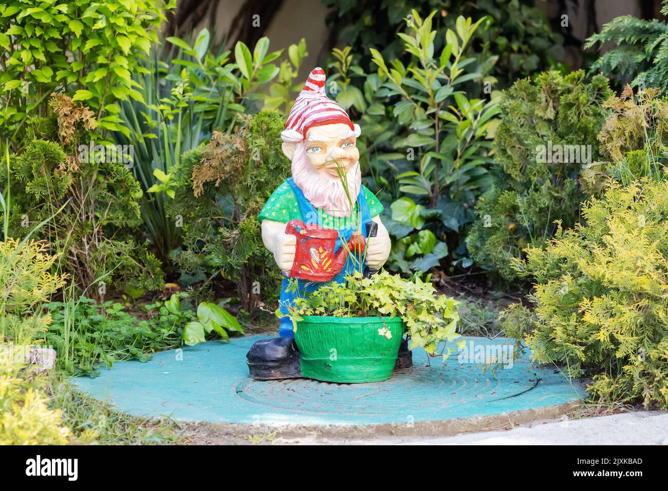 Russia, Sochi 15.05.2022. Decorative gnome in garden with a watering ...