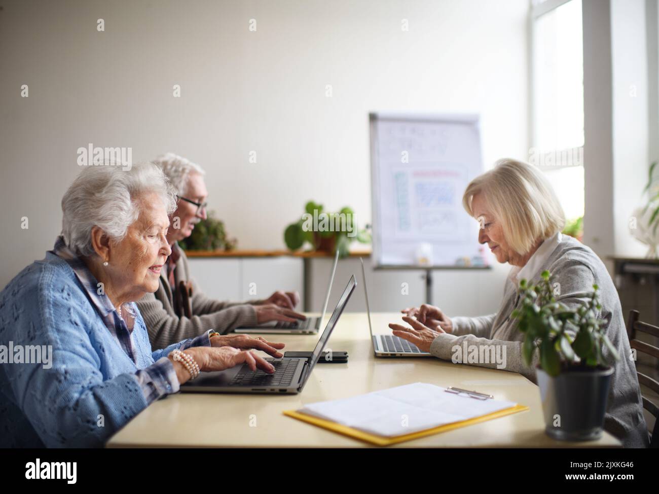 Senior group in retirement home learning together in computer class ...