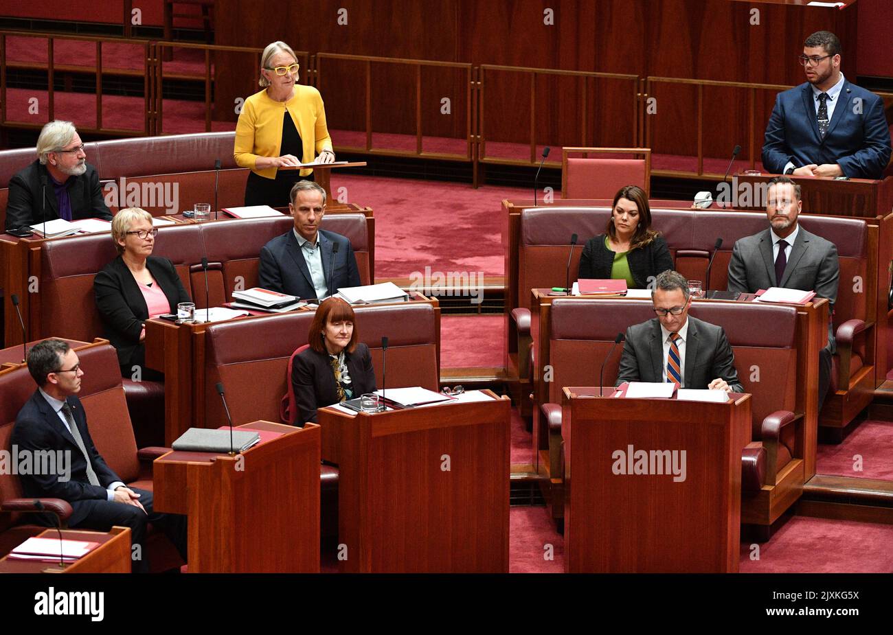 Greens Senator Lee Rhiannon makes her valedictory speech in the Senate ...
