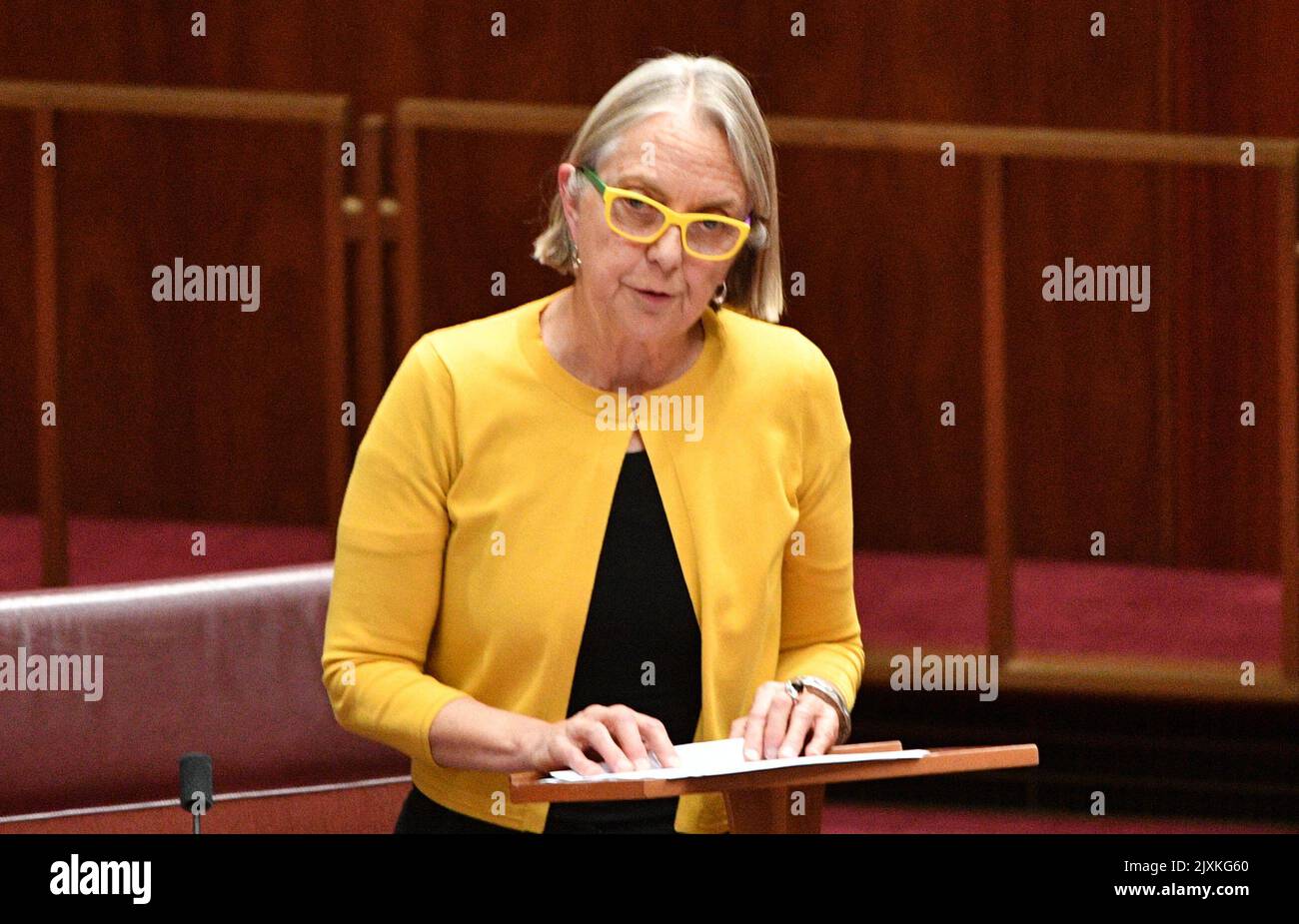 Greens Senator Lee Rhiannon makes her valedictory speech in the Senate ...