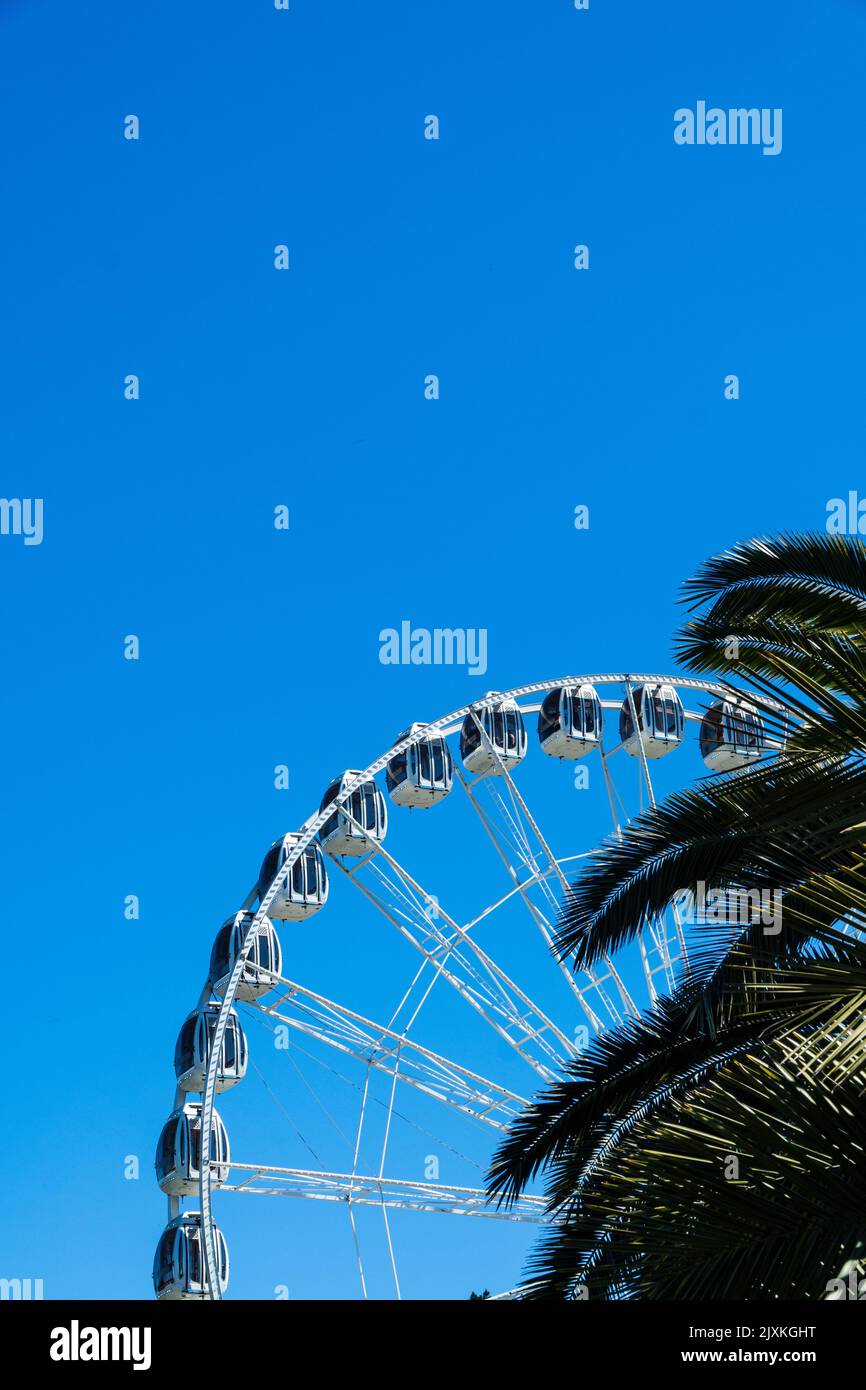 Golden gate park carousel hi-res stock photography and images - Alamy