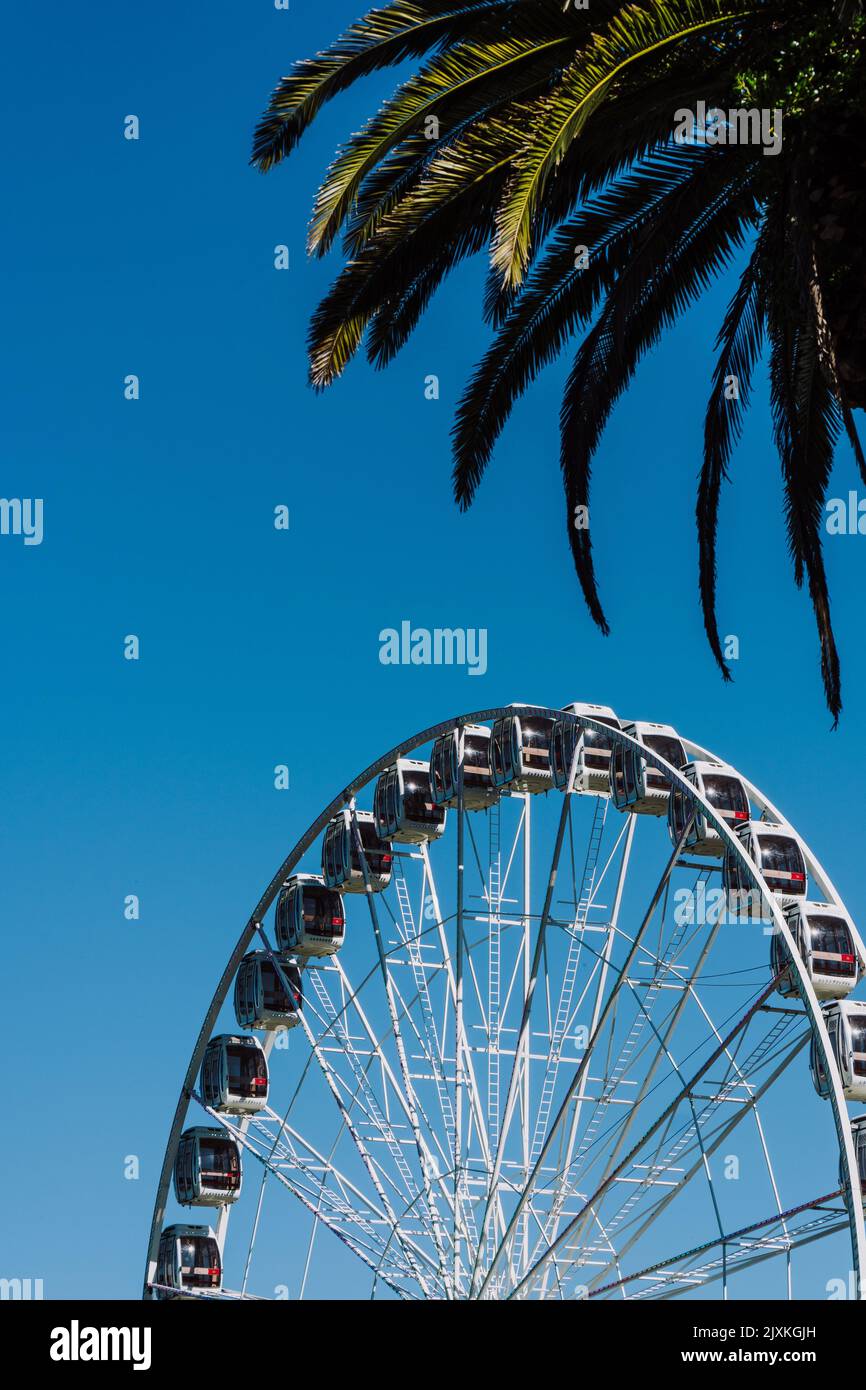 Golden gate park carousel hi-res stock photography and images - Alamy