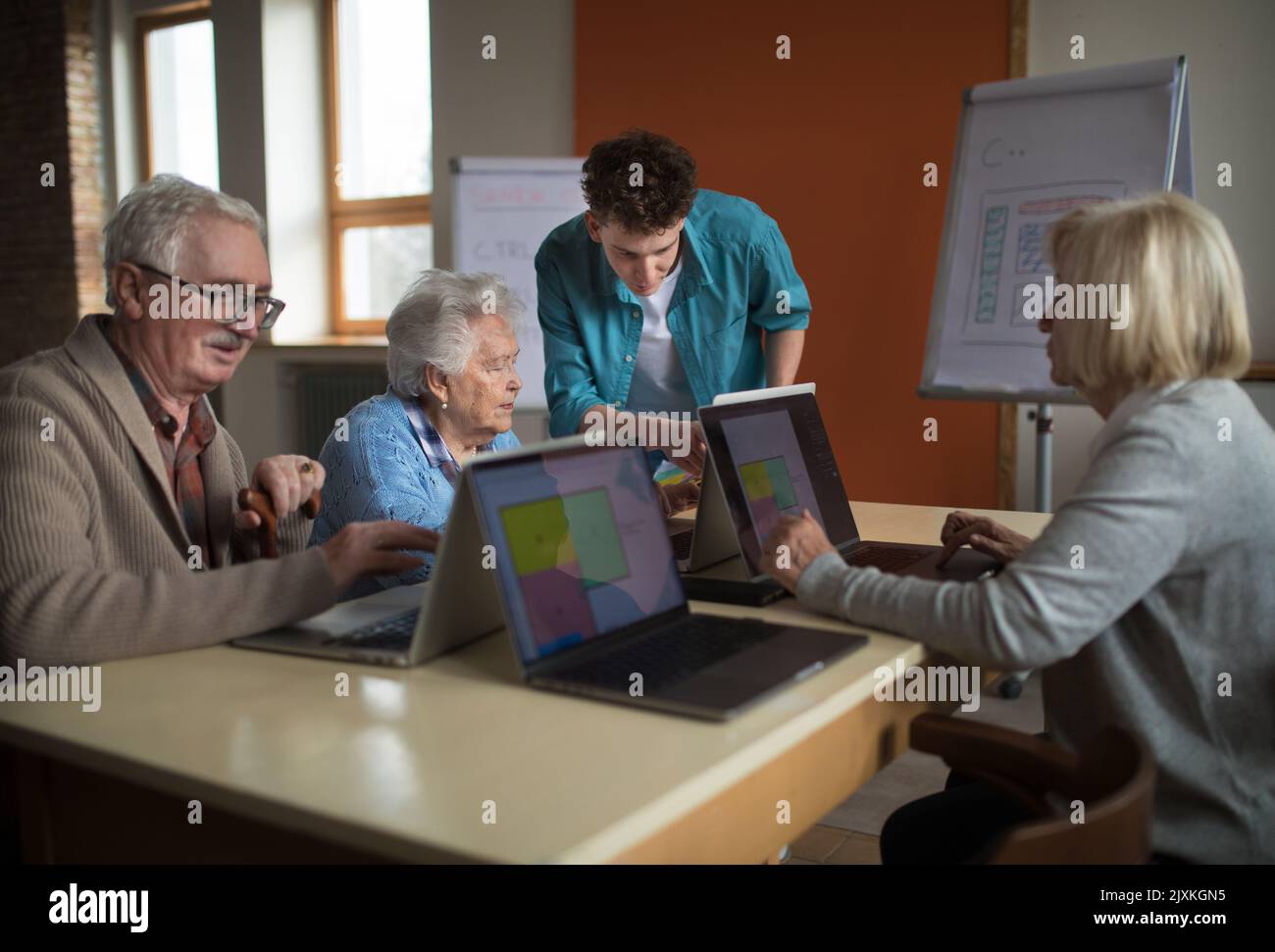 Senior group with young instructor learning together in computer class ...
