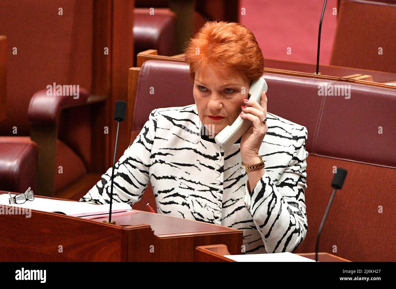 One Nation leader Senator Pauline Hanson in the Senate chamber at ...