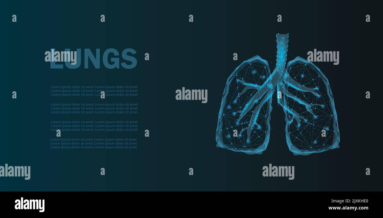 Lungs in wireframe low poly style with lines dots and lights vector ...