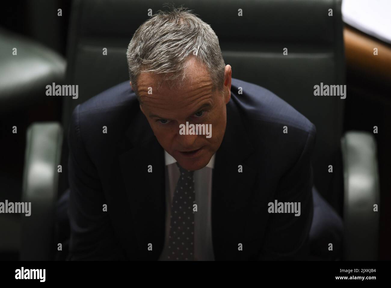 Australian Opposition Leader Bill Shorten reacts during House of ...