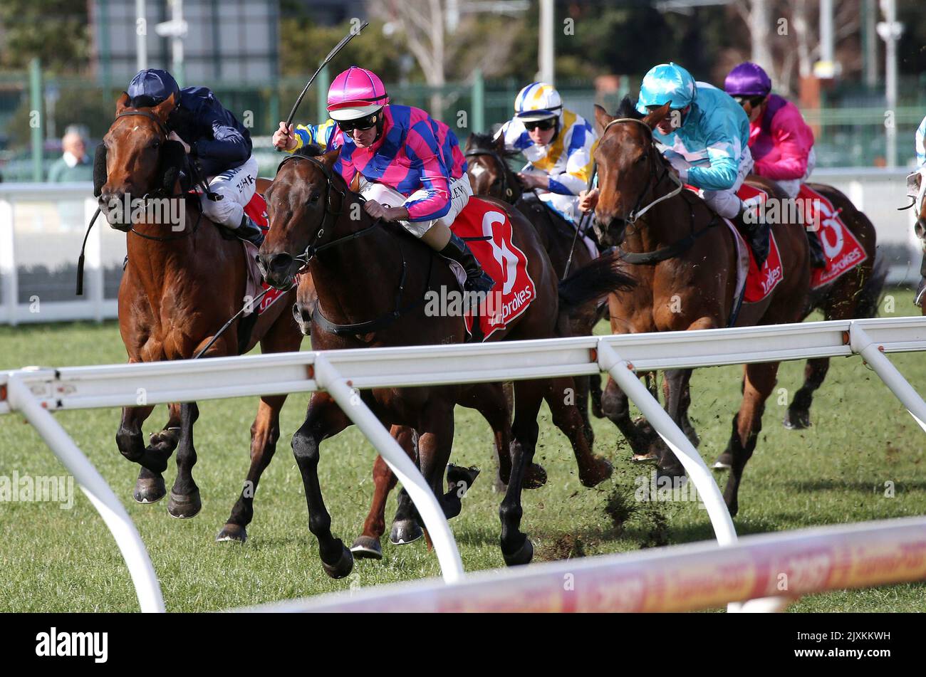 Jockey Luke Nolen rides Tony Nicconi to win race 5, the KS ...