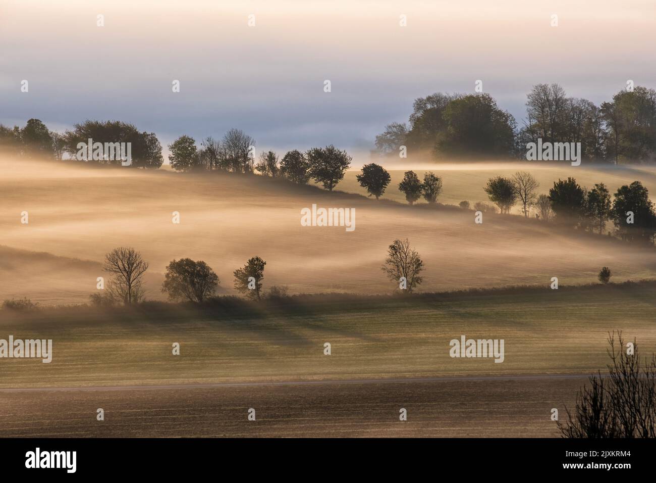 Countryside view with morning mist Stock Photo - Alamy
