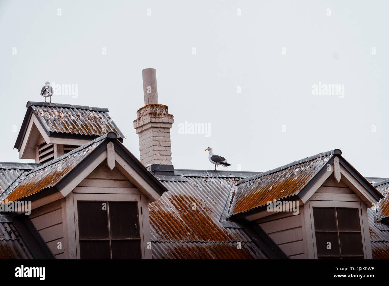 Prison island alcatraz main prison hi-res stock photography and images ...