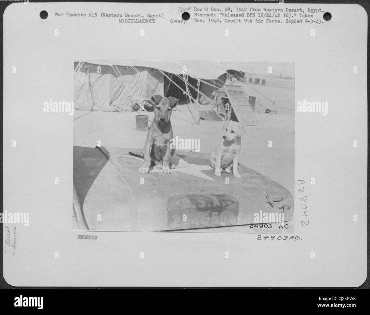 Bombing of Cairo, Egypt Stock Photo - Alamy