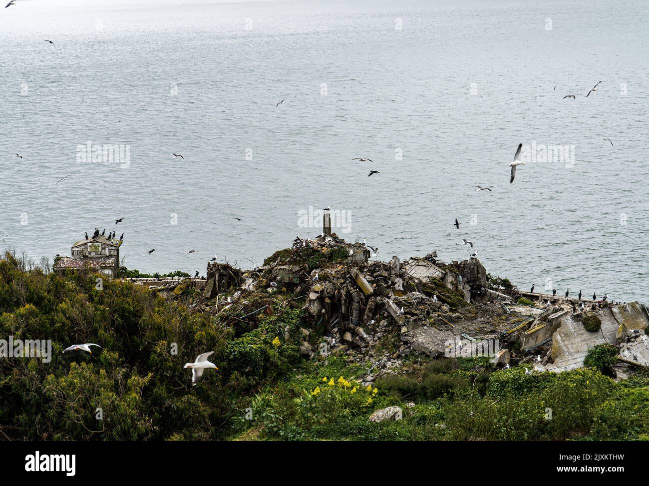A shore on Alcatraz Island with the rubble of old buildings and flying ...
