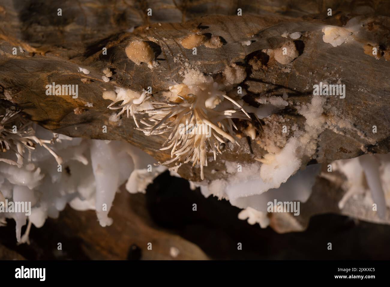 Ochtinska Aragonite Cave, Slovakia Stock Photo - Alamy