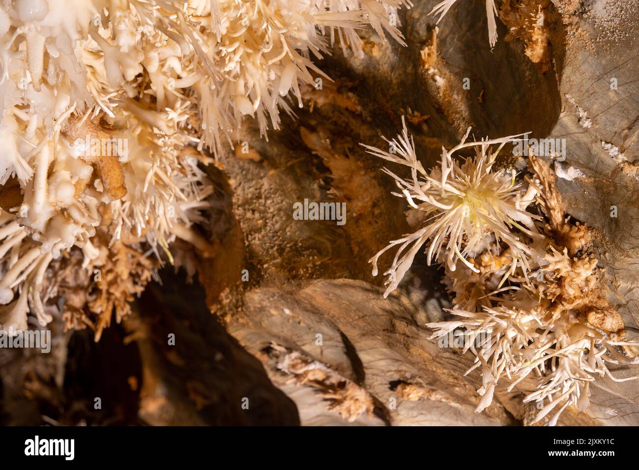 Ochtinska aragonite hi-res stock photography and images - Alamy