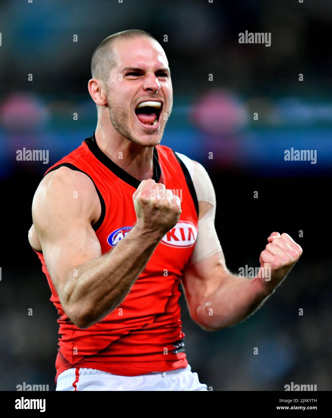 David Zaharakis of the Bombers celebrates a goal during the Round 23 ...