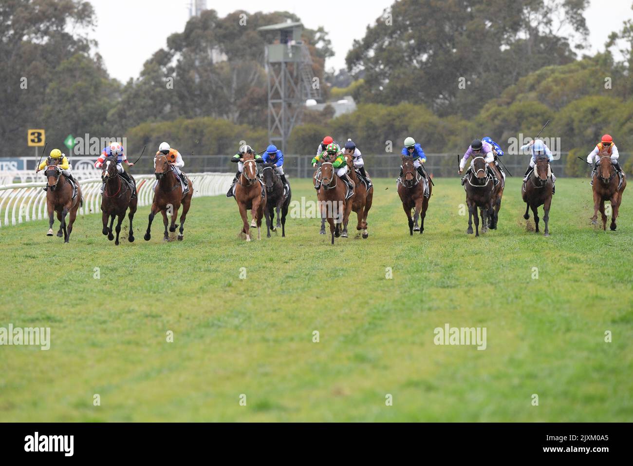Jockey Sam Weatherly rides Za Zi Ba to victory in race 4, the Lindt ...