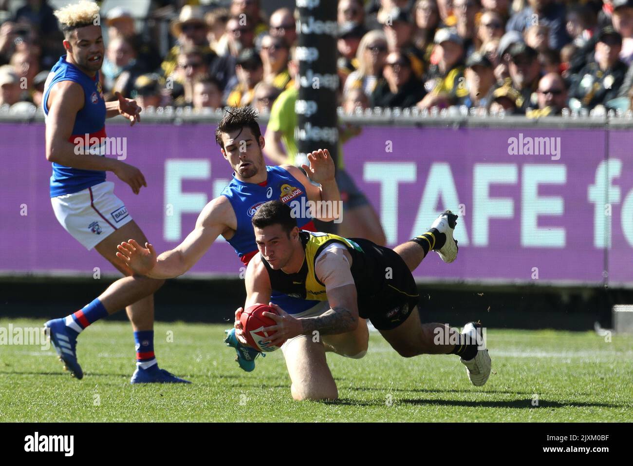 Jack Graham of the Tigers marks during the Round 23 AFL match between ...