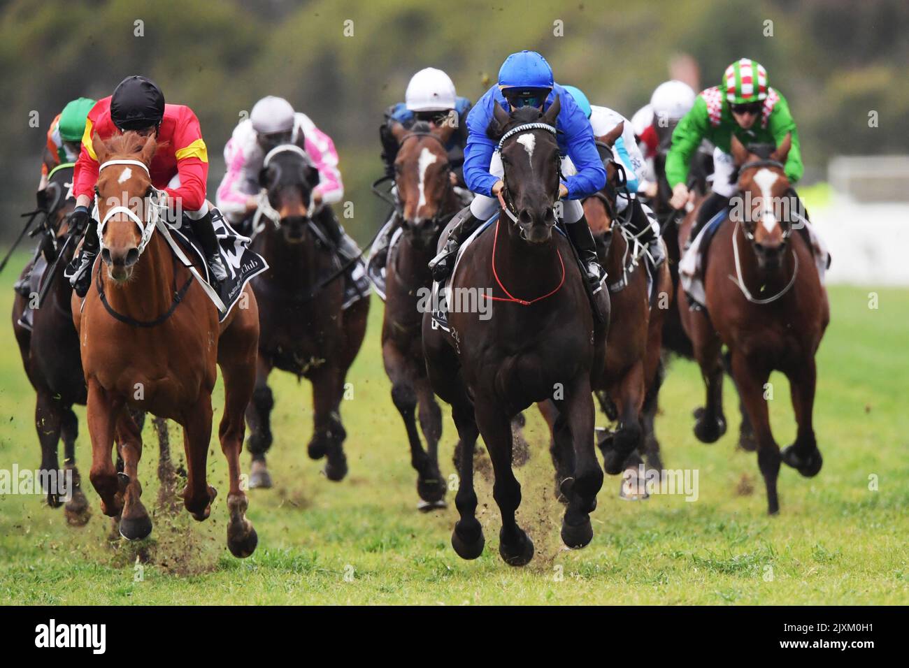 Jockey Glyn Schofield rides Avilius to victory in race 7, the New ...