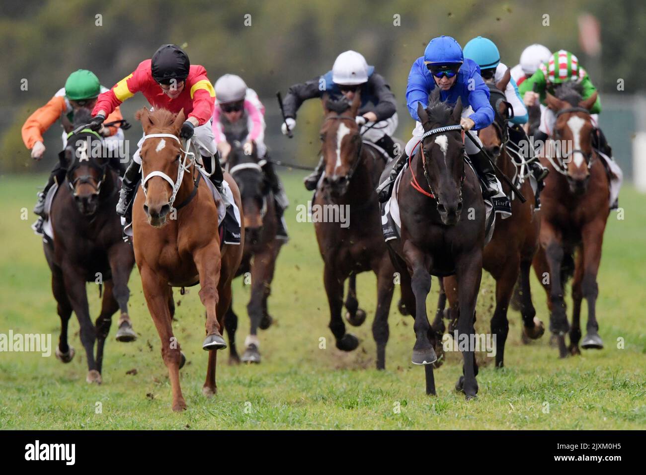 Jockey Glyn Schofield rides Avilius to victory in race 7, the New ...