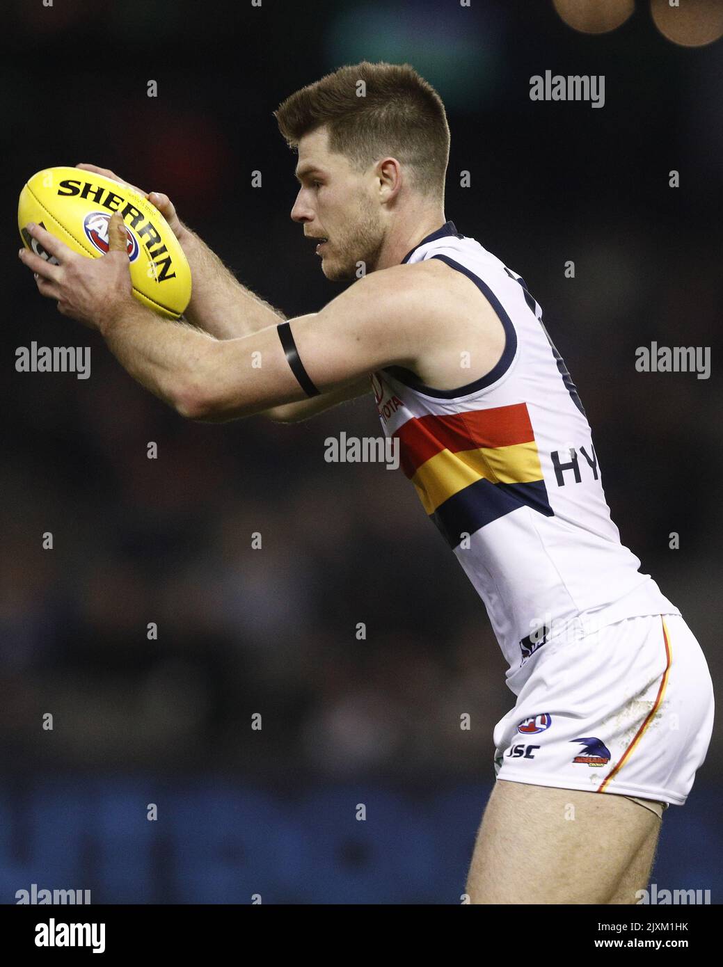 Bryce Gibbs of the Crows runs with the ball during the Round 23 AFL ...