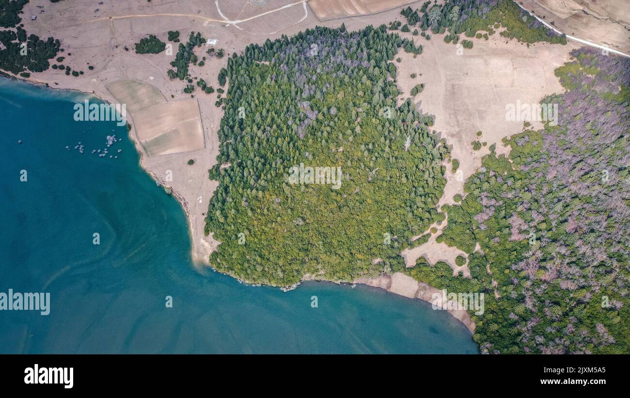 Dense waterside forest hi-res stock photography and images - Alamy