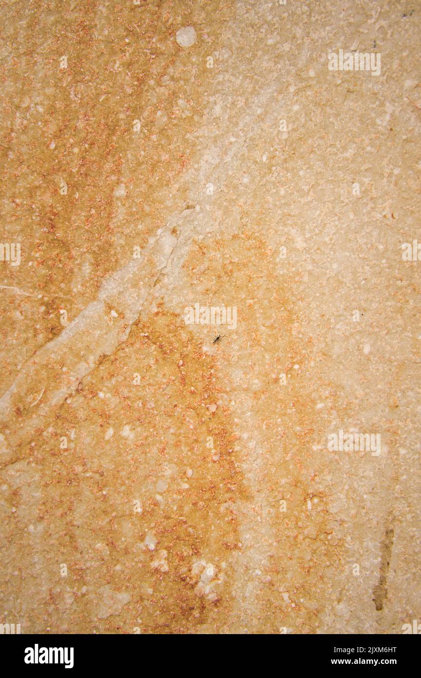 A background with natural stone texture Stock Photo - Alamy
