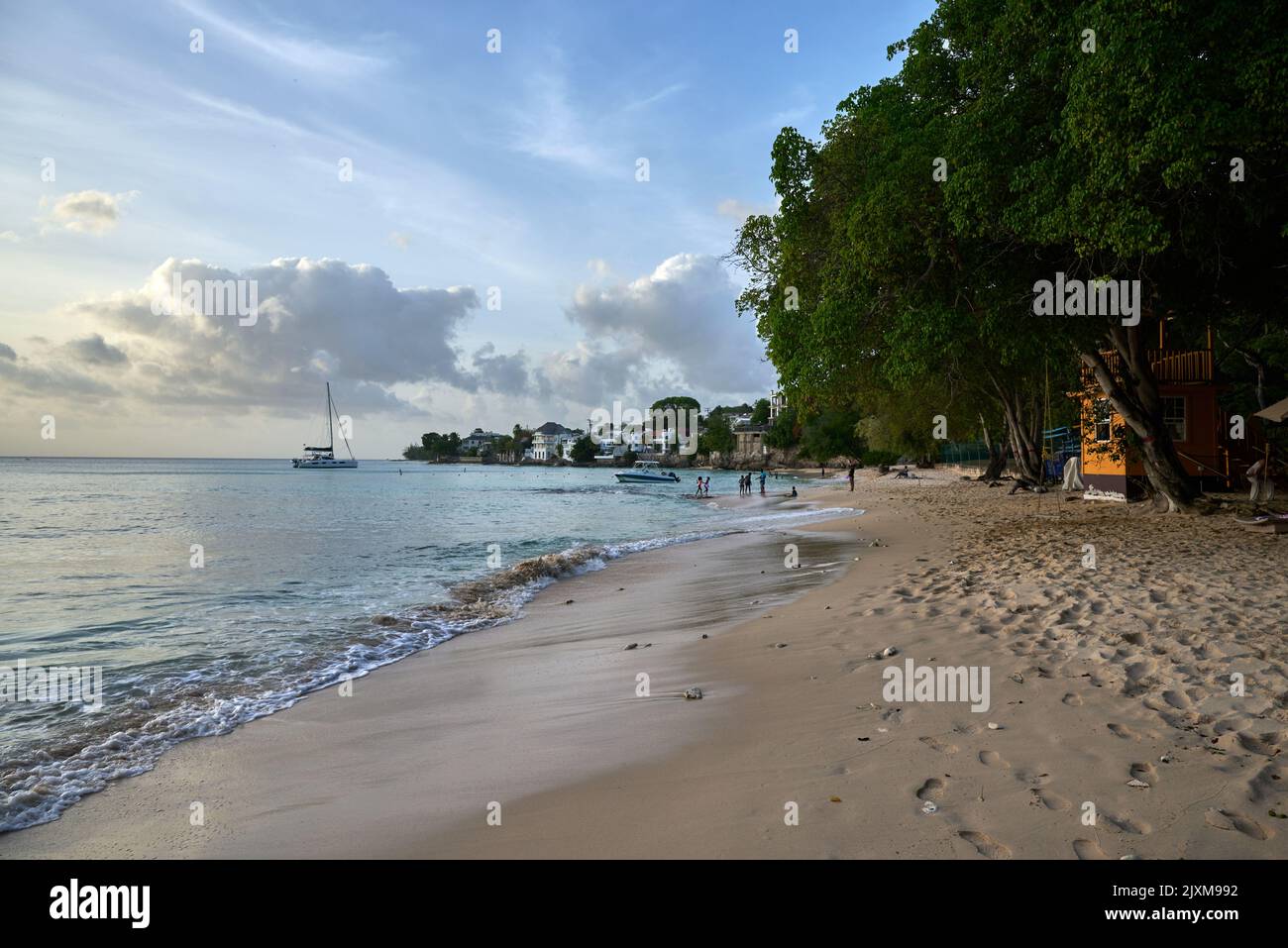 A nice soft sandy Batts Rock beach in Barbados, seashore with green ...