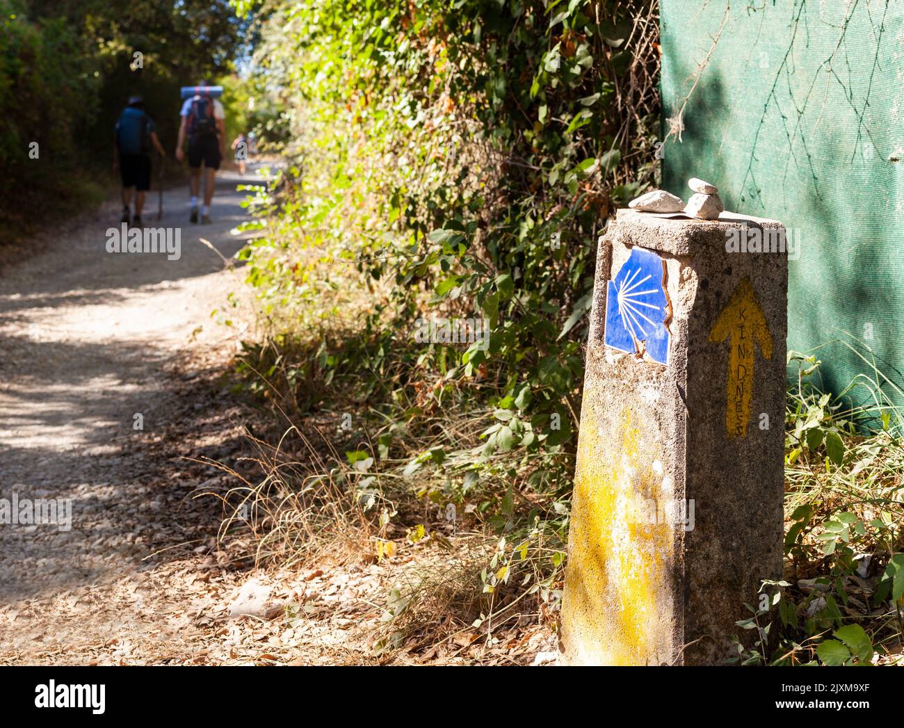 Pilgrims have just passed by the yellow scallop shell, the typical sign ...