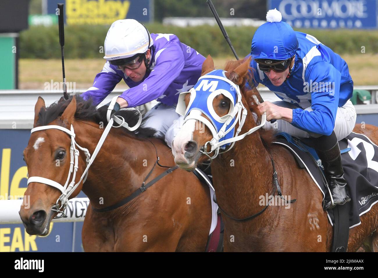 Jockey James McDonald rides Tough Larry to victory in race 1, the ATC ...