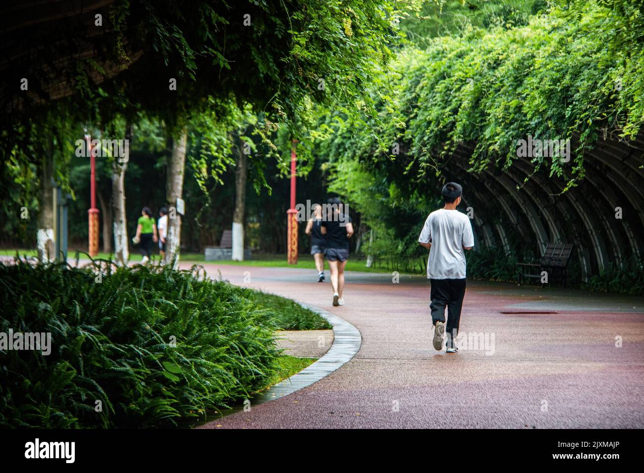 Dongpo urban wetland park hi-res stock photography and images - Alamy