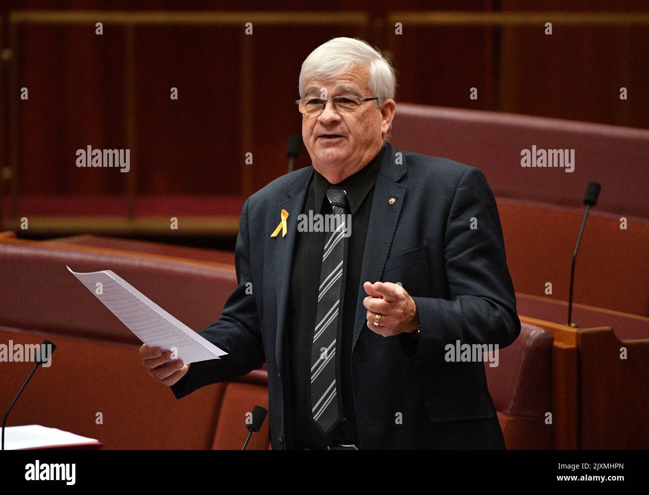 United Australia Party Senator Brian Burston speaks in the Senate ...