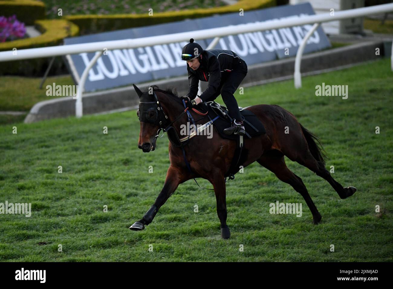 Jockey Hugh Bowman rides champion racehorse Winx during trackwork at ...