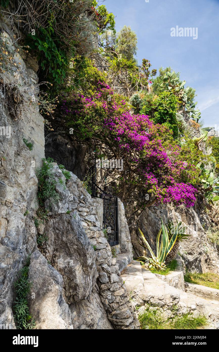 A gate on a cliffside covered in green foliage and trees blooming with ...