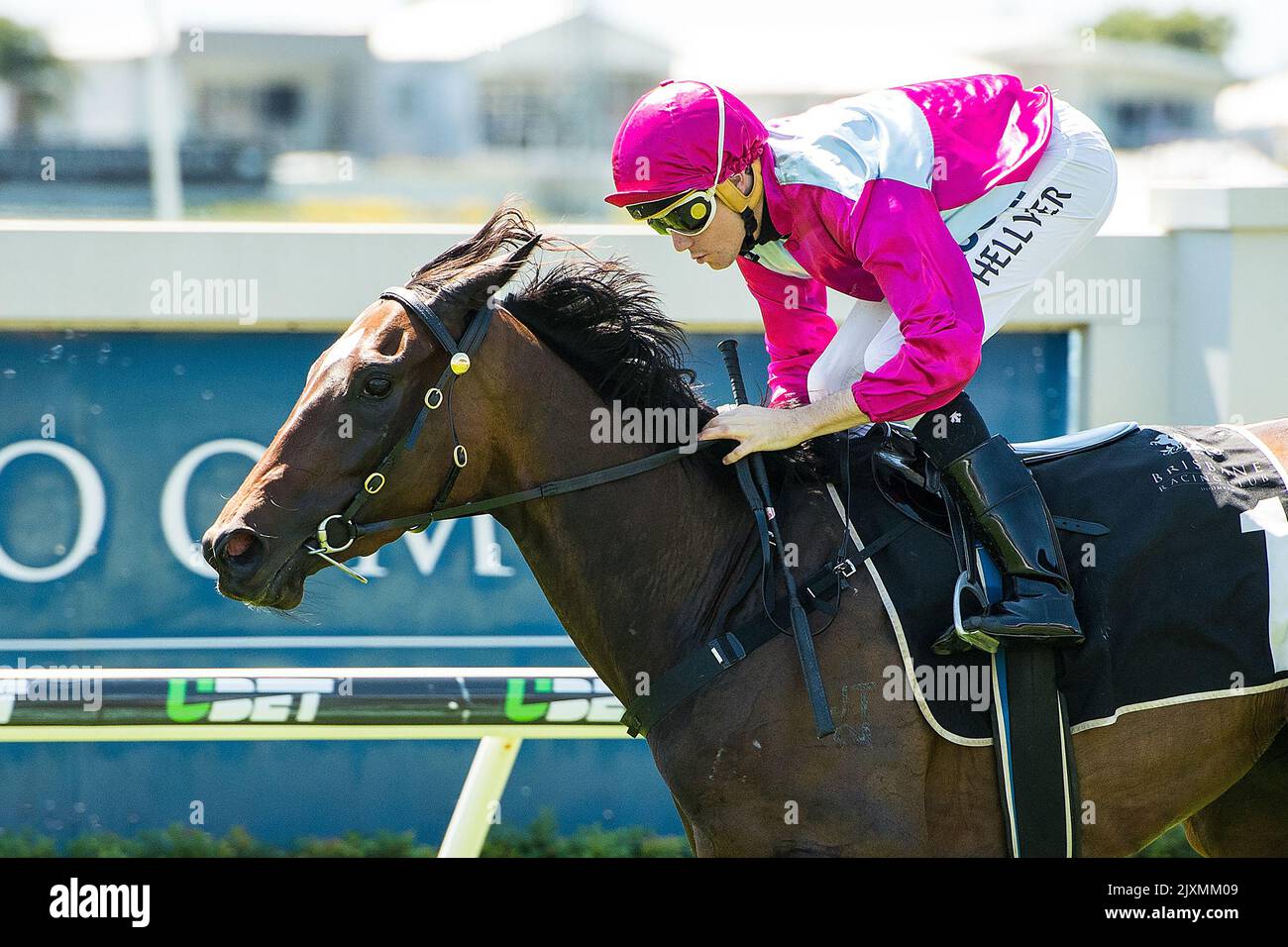 Jockey Michael Hellyer rides Baccarat Baby to victory in race 1, the ...
